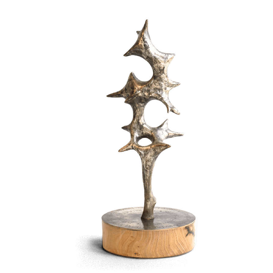 The Rainwater Charitable Foundation Announces 2024 Rainwater Prize Winners, Dr. Virginia Man-Yee ...